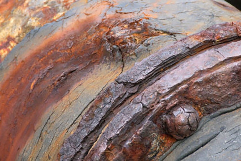 6 Pipe Corrosion Signs & Prevention | Marvel Sewer & Drain MN